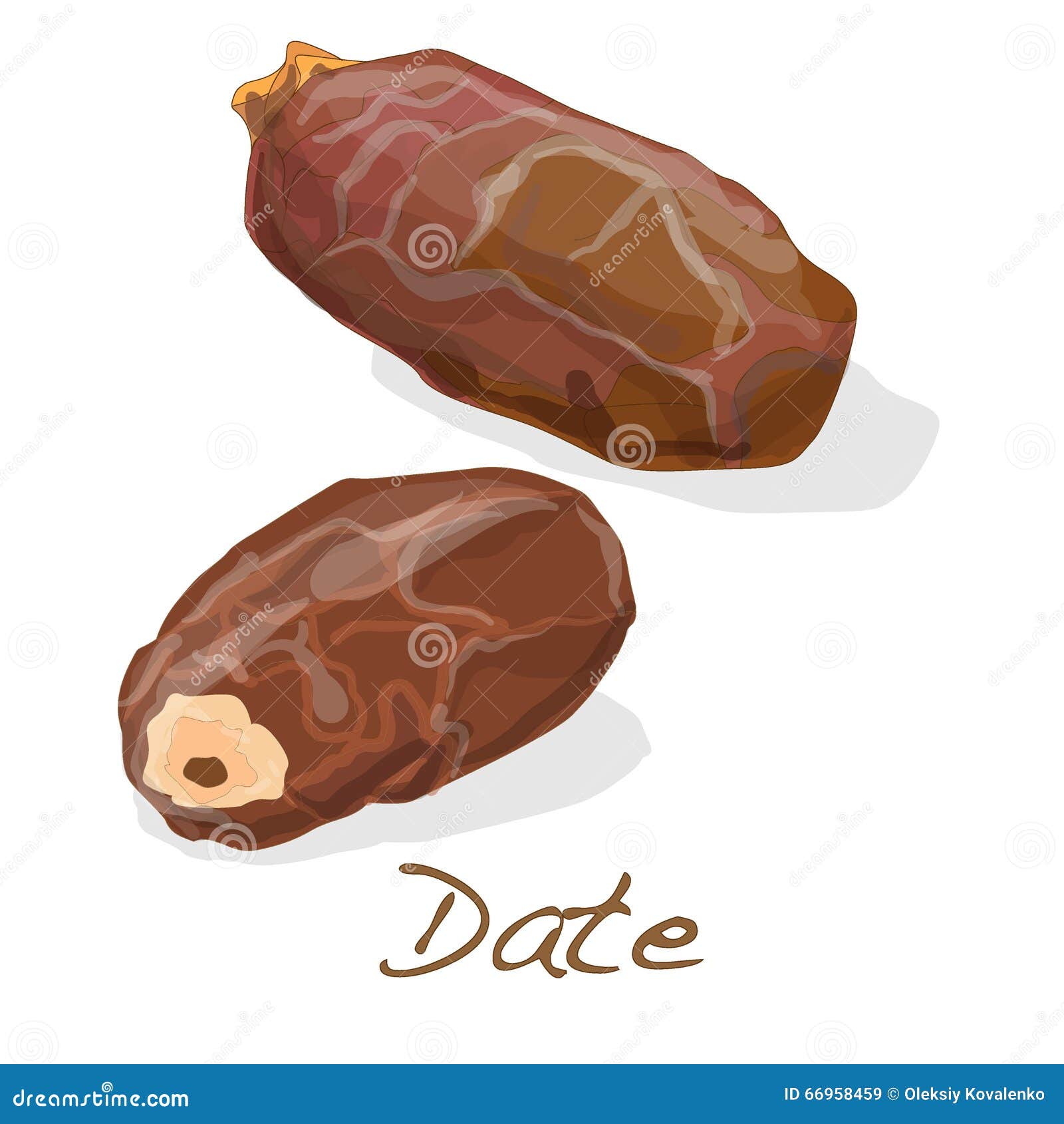 Dattes Vecteur illustration de vecteur. Illustration du objet - 66958459
