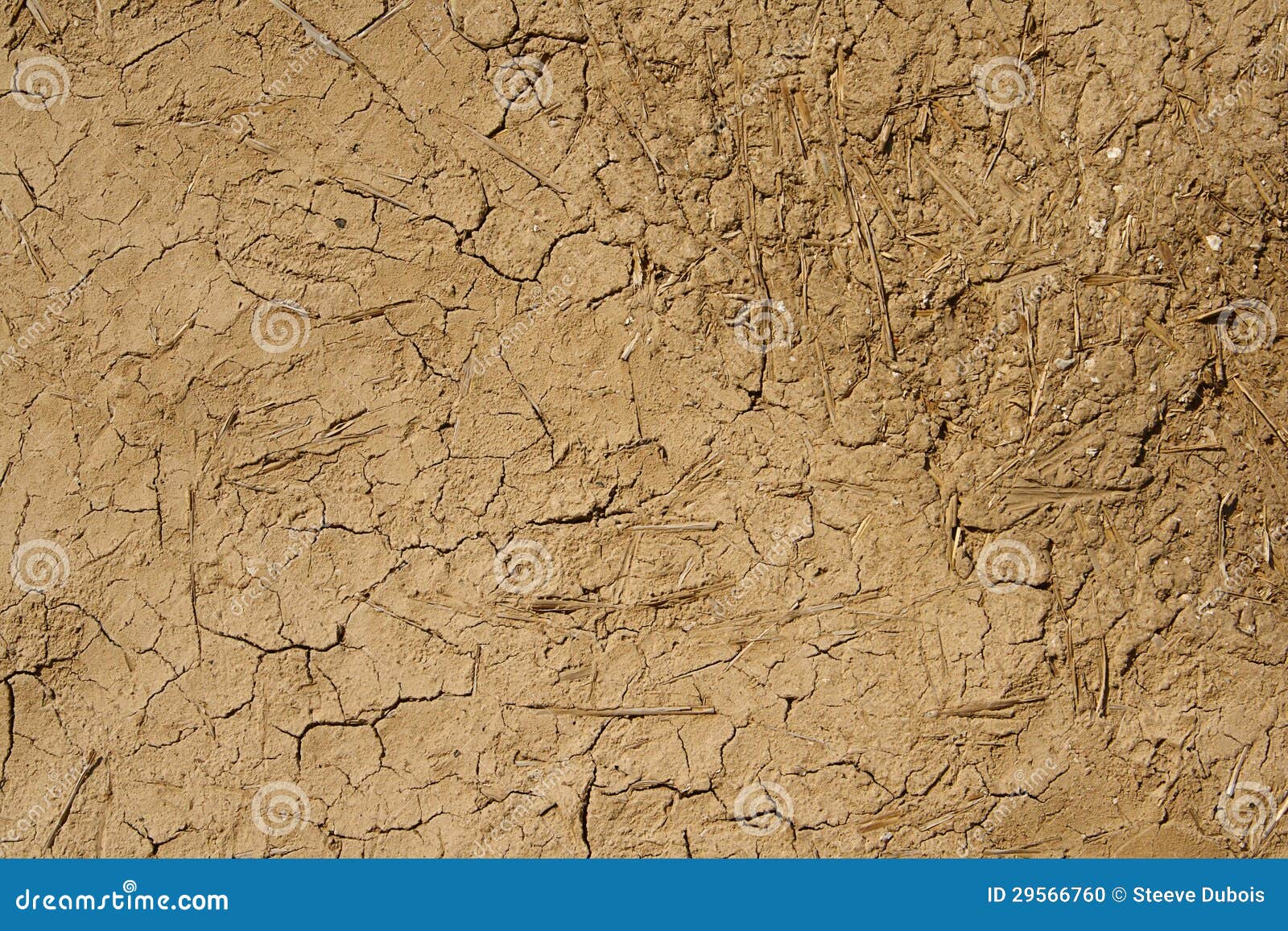Daub Made of Mud and Cow Dung Stock Photo - Image of nature, dung: 29566760