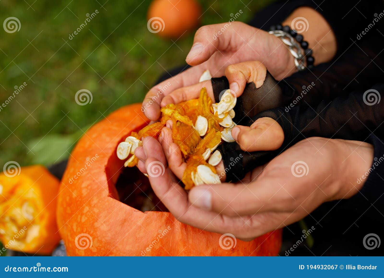 Daughter And Father Hands Carving Pumpkin For Halloween Prepares Jack
