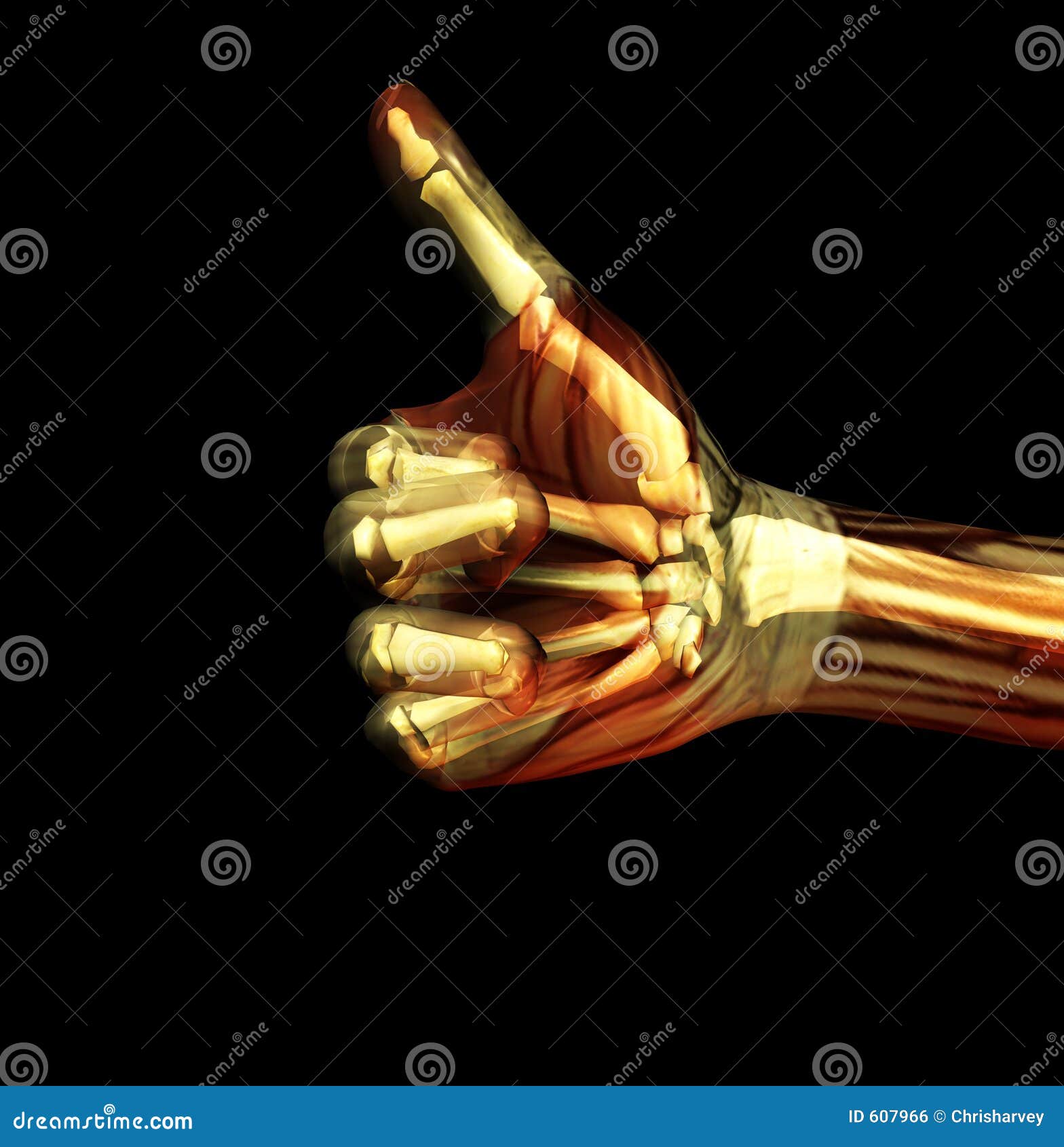 Daumen Up x-Strahl 2 stock abbildung. Illustration von anatomisch - 607966