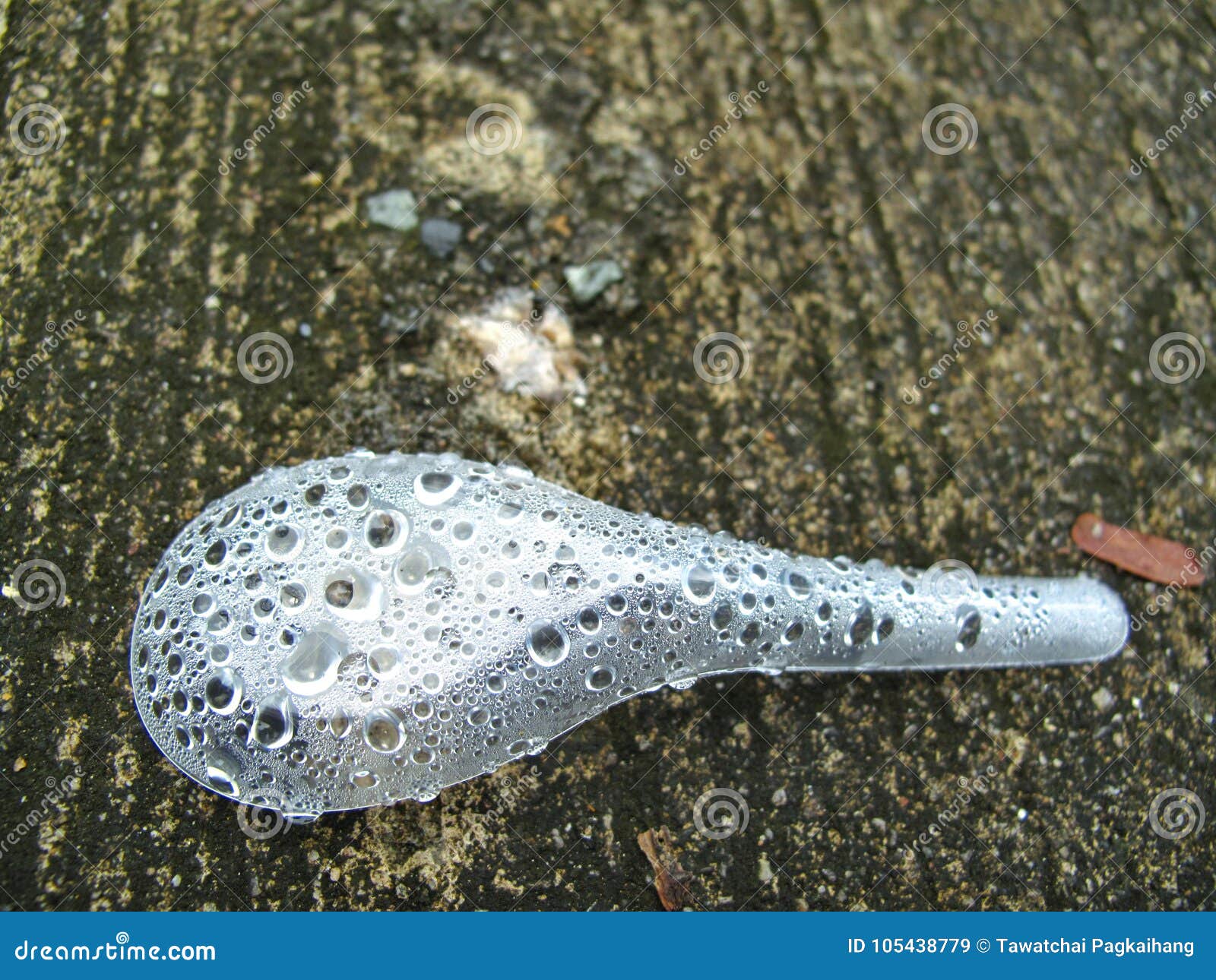 Dauw stock afbeelding. Image of regendruppel, licht - 105438779