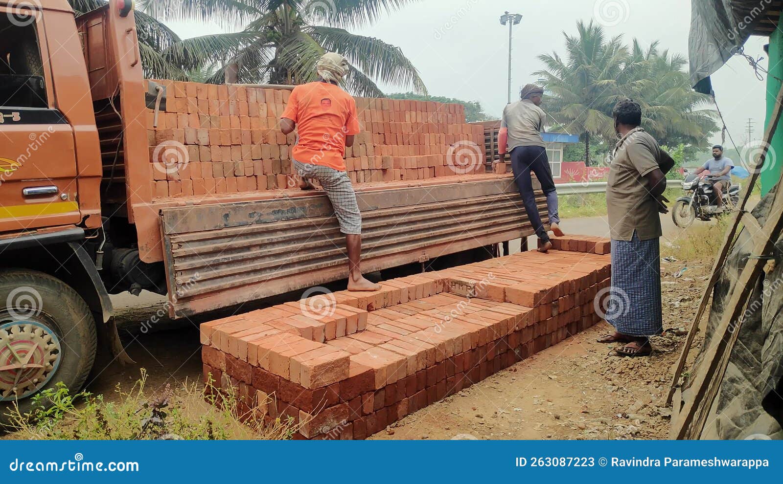 Indian Workers Unloading Red Bricks from the Lorry Trolley at ...