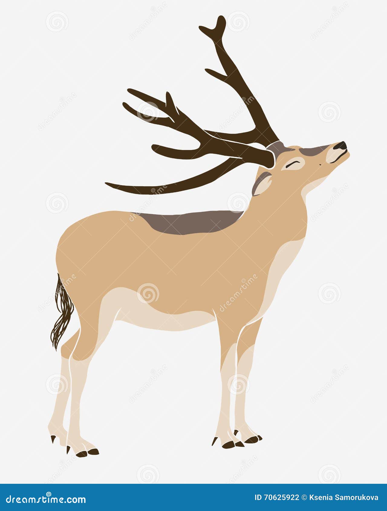 Davidâ€™s Deer (milu, Elaphure) Vector Stock Vector - Illustration of ...