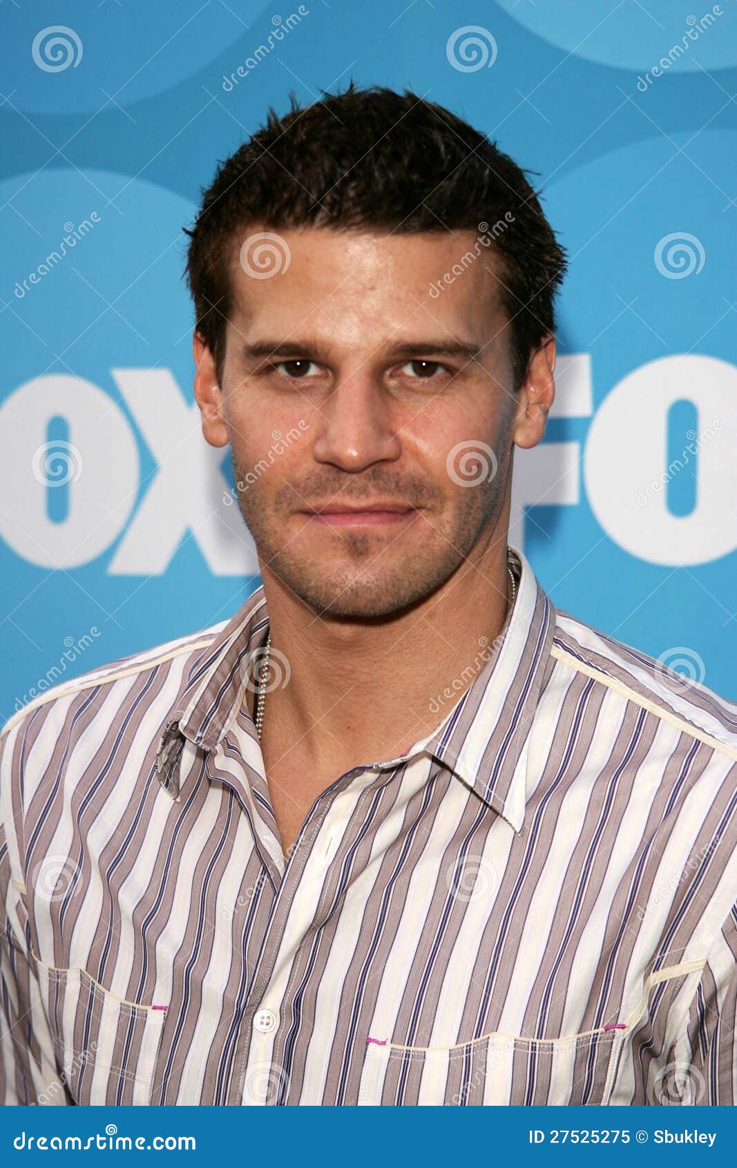 David Boreanaz redaktionelles bild. Bild von presse, huntington - 27525275