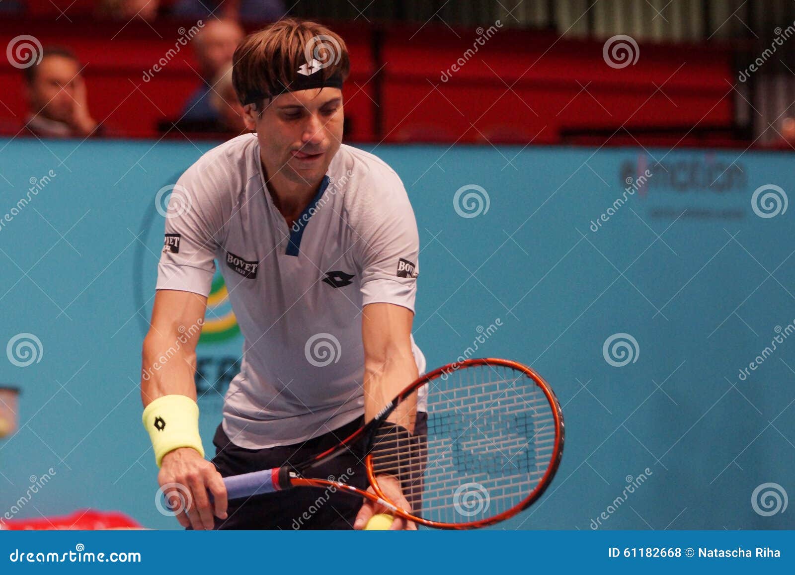 David Ferrer (in HET BIJZONDER) Redactionele Stock Foto - Image of ...