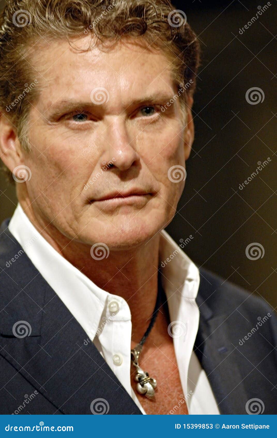 David Hasselhoff Appearing. Editorial Stock Photo - Image of movies ...