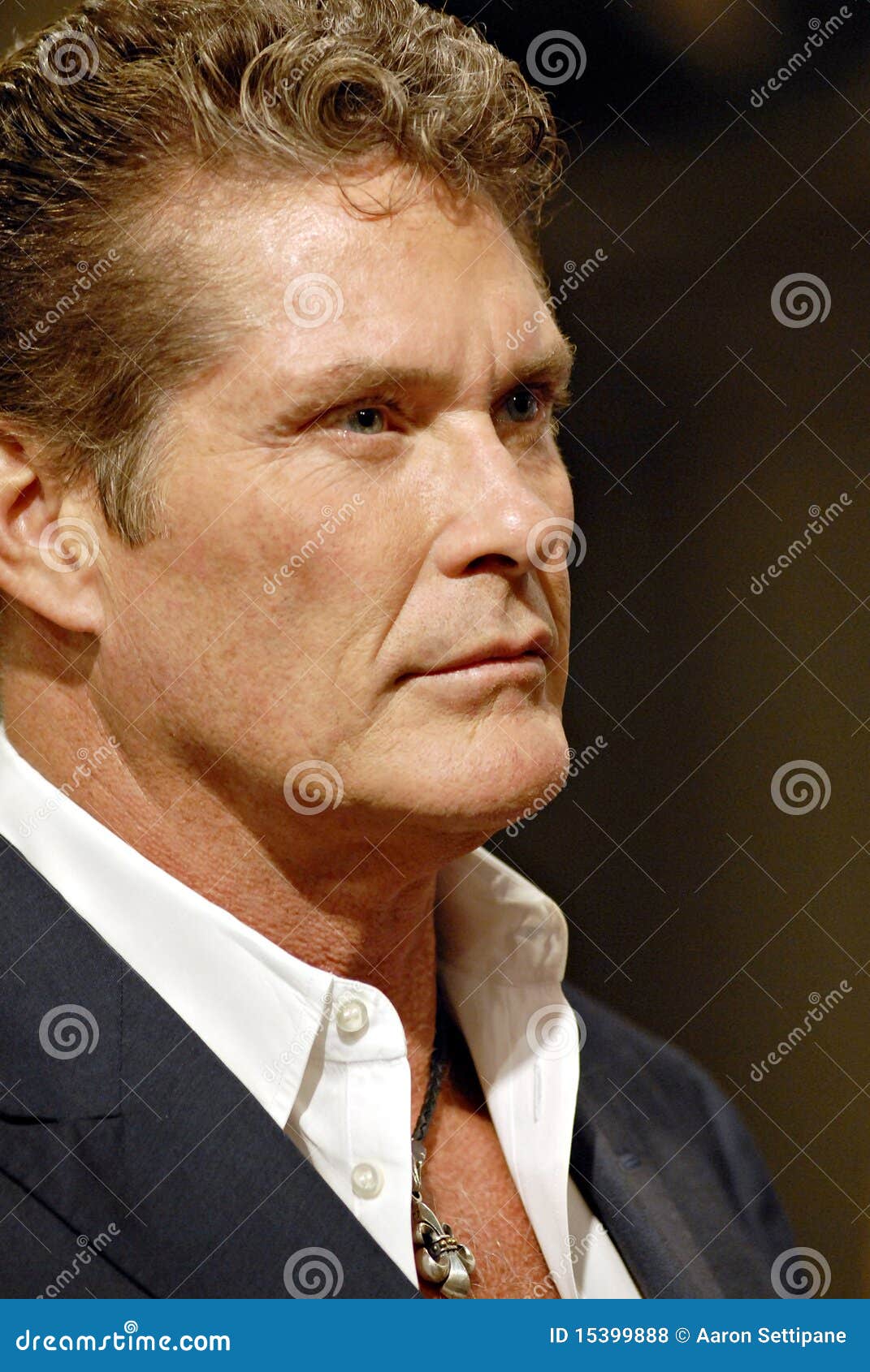 David Hasselhoff Appearing Live. Editorial Stock Photo - Image of ...