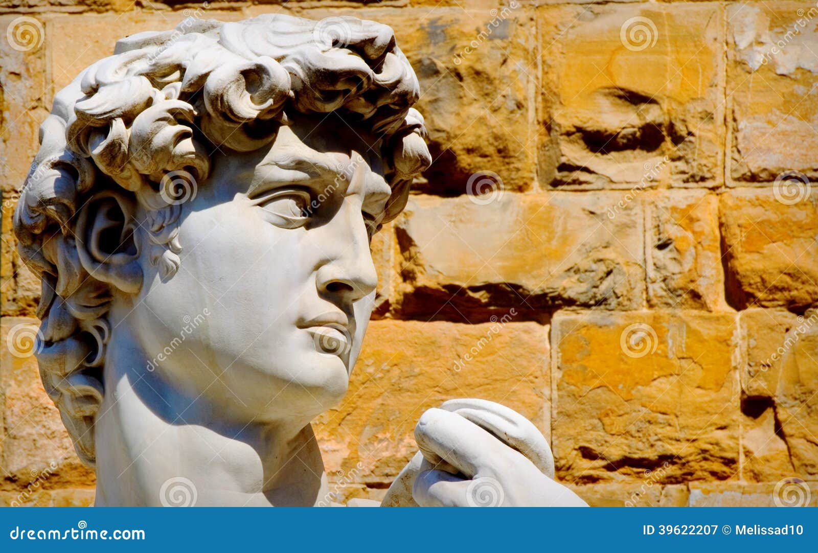 Statue Of David Side