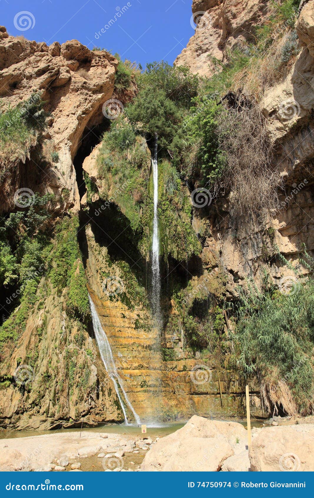 David Waterfall in Ein Gedi Nature Reserve Stock Photo - Image of ...