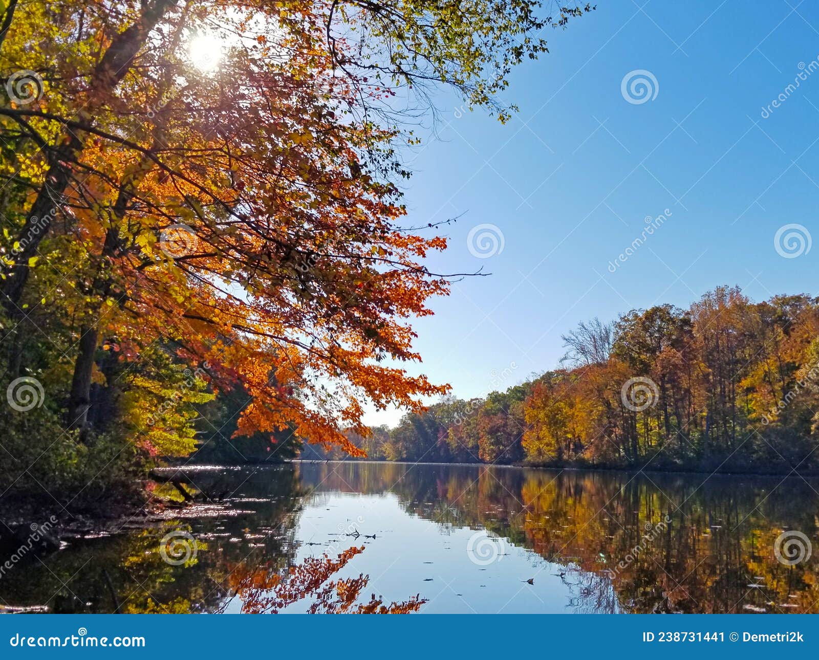 Davidson`s Mill Pond Park Autumn Foliage -06 Stock Image - Image of ... Davidson`s Mill Pond Park Autumn Foliage -06 Stock Image - Image of ...