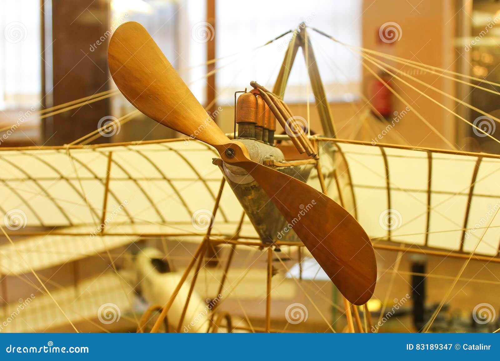 DaVinci& X27;s Airplane Model Editorial Photography - Image of historic ...