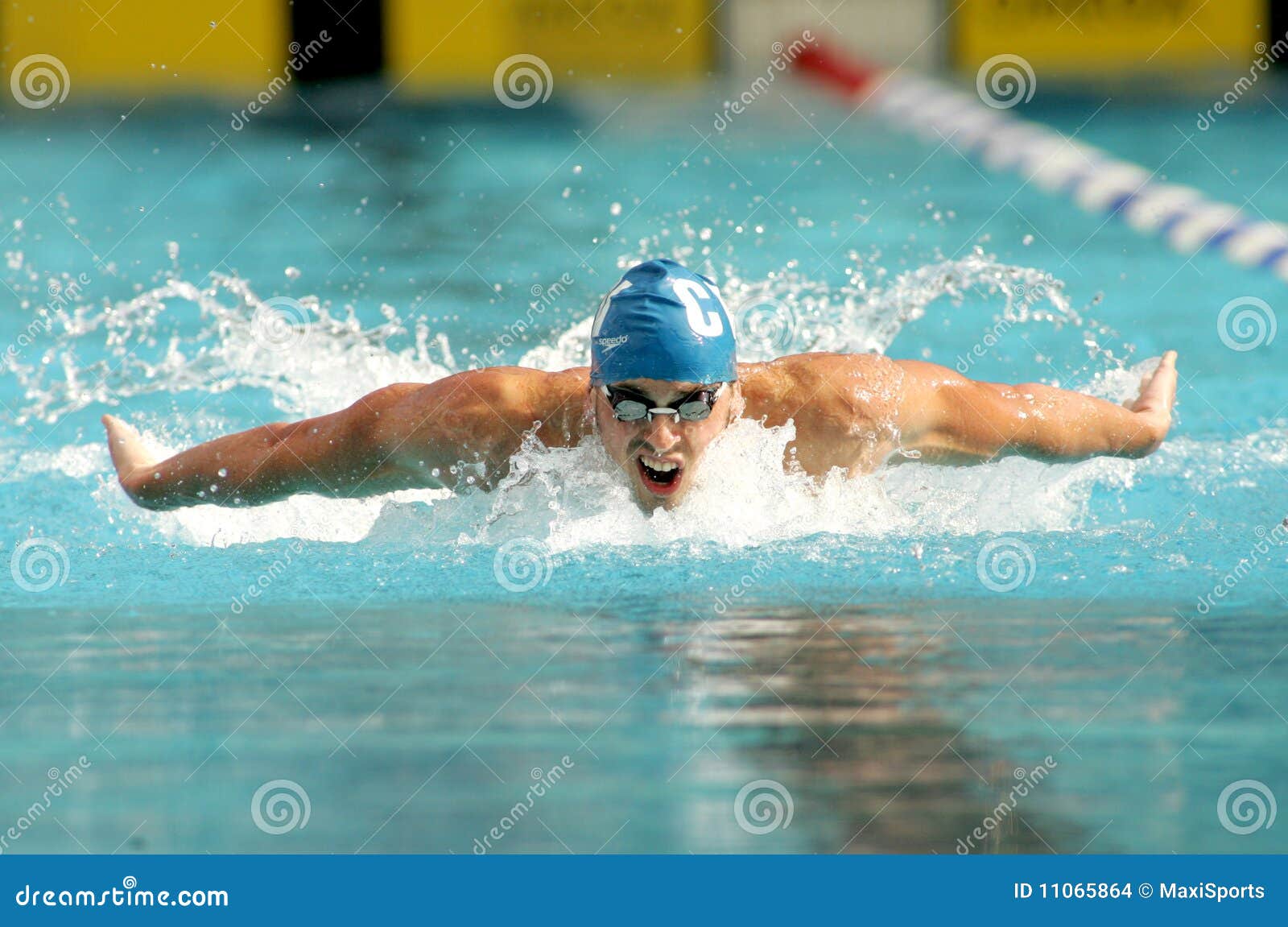 Davis Tarwater editorial stock image. Image of swimmer - 11065864