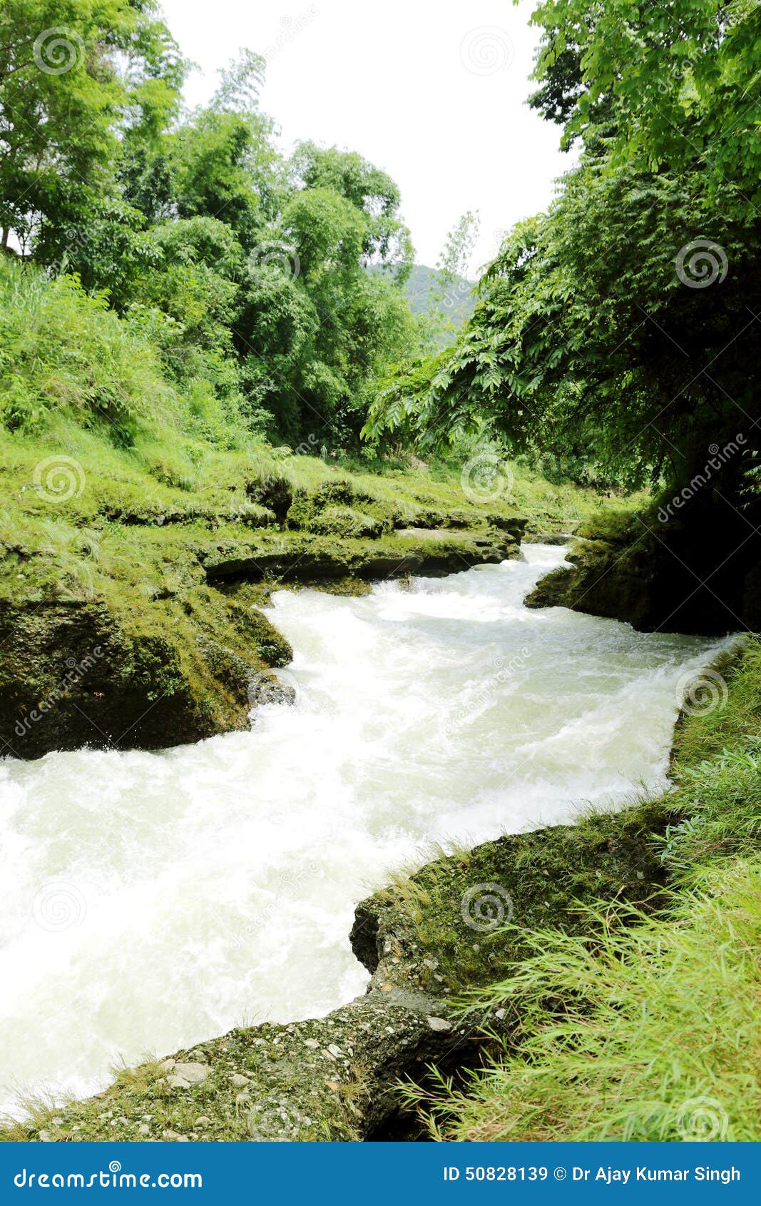 Davis waterfall stock image. Image of green, kaski, blur - 50828139