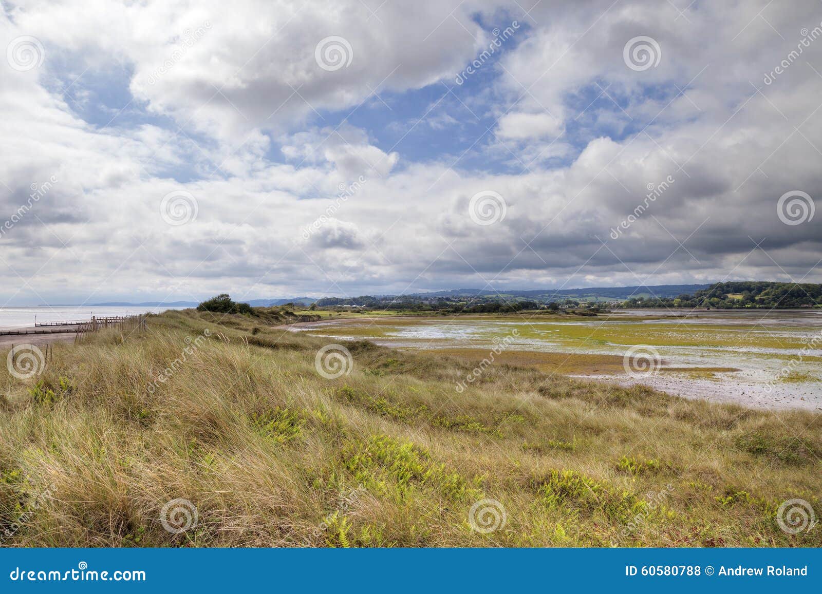 Dawlish Warren, Devon, England Stock Photo - Image of estuary, habitat ...