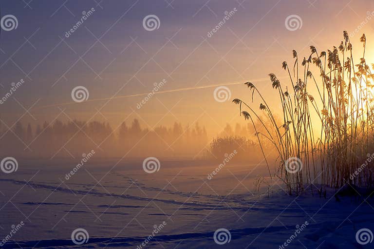 At a dawn stock image. Image of snow, lake, morning, wood - 365715