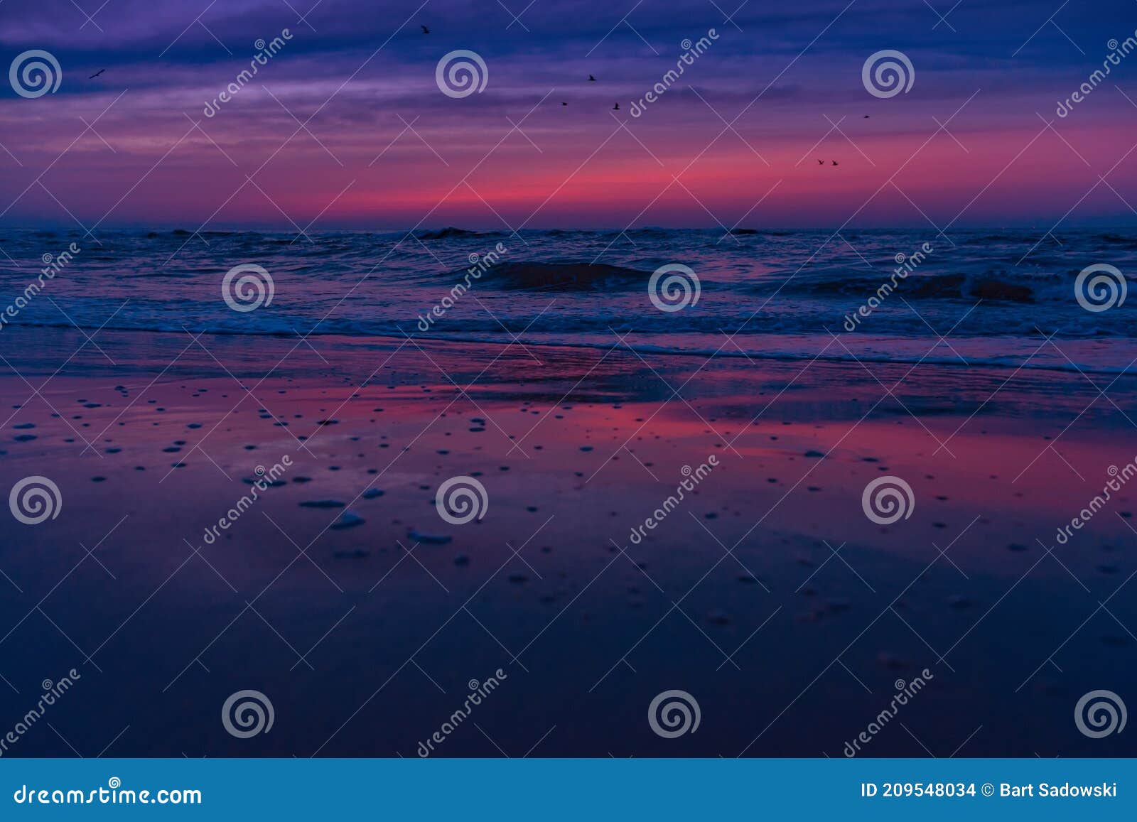 Early Dawn at the Beach stock photo. Image of summer - 209548034