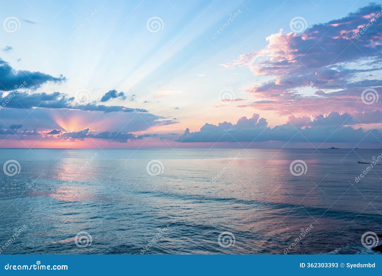 Dawn Breaking Through The Fog In The Rainforest Canopy Royalty-Free ...