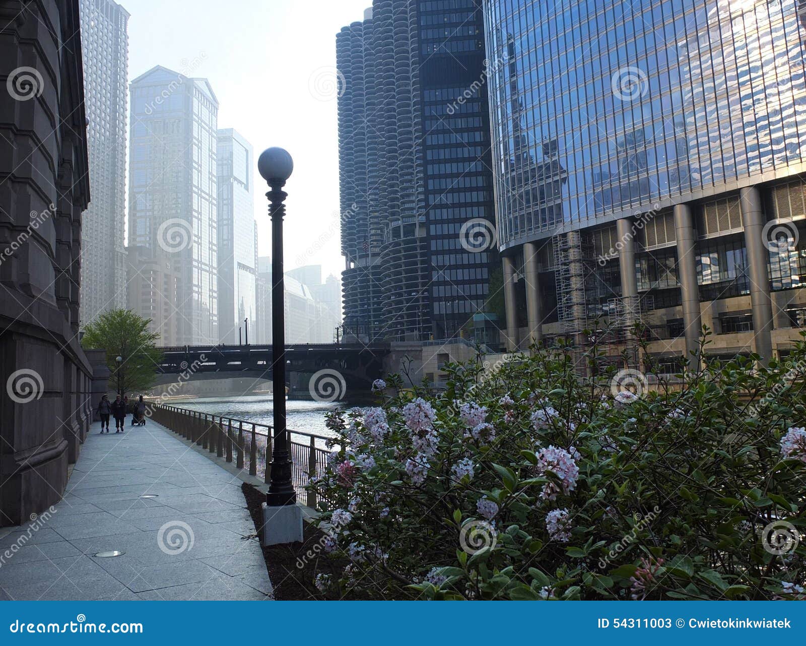 Dawn by Chicago River in Chicago Editorial Stock Photo - Image of ...