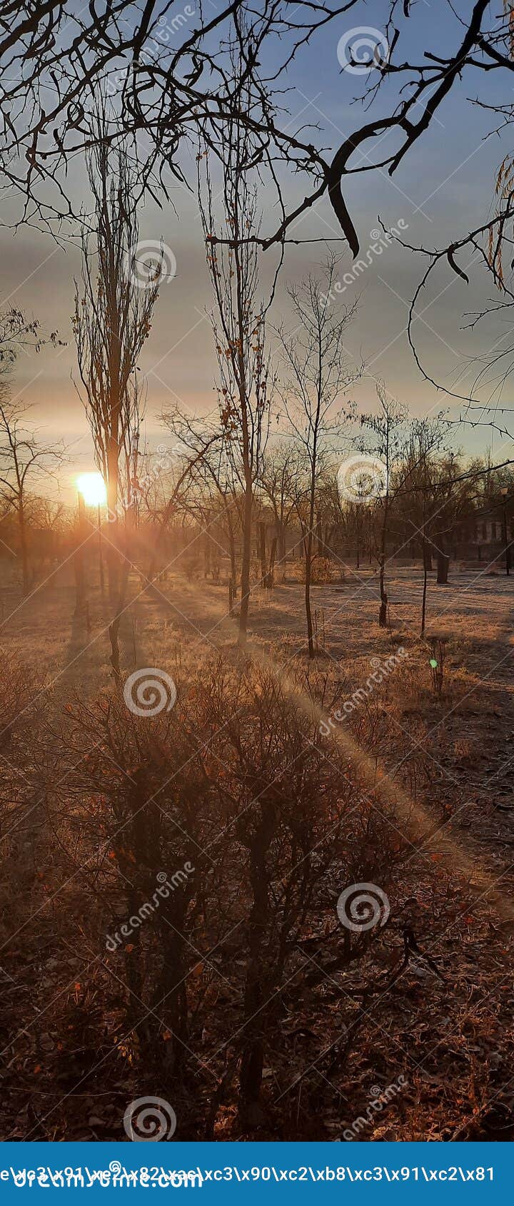 Dawn of the Early Morning, the First Snow Stock Photo - Image of snow ...