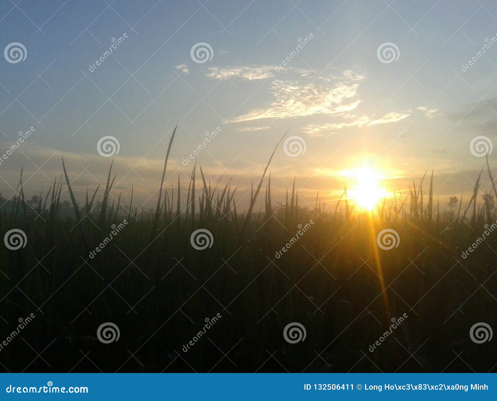 Dawn stock image. Image of newday, dawn, field - 132506411