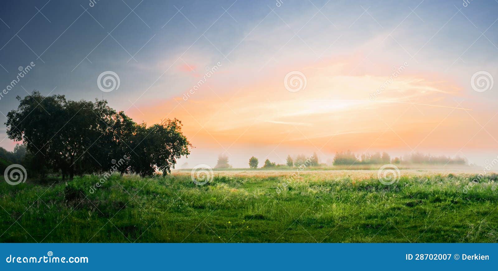 Dawn in a field stock image. Image of outside, grass - 28702007