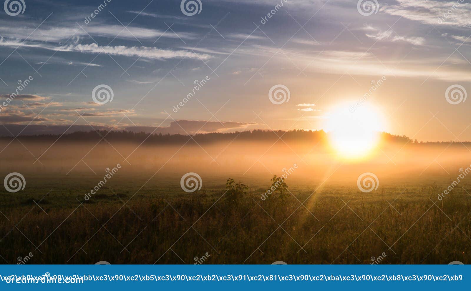 Dawn in the field stock image. Image of morning, sunset - 221709123
