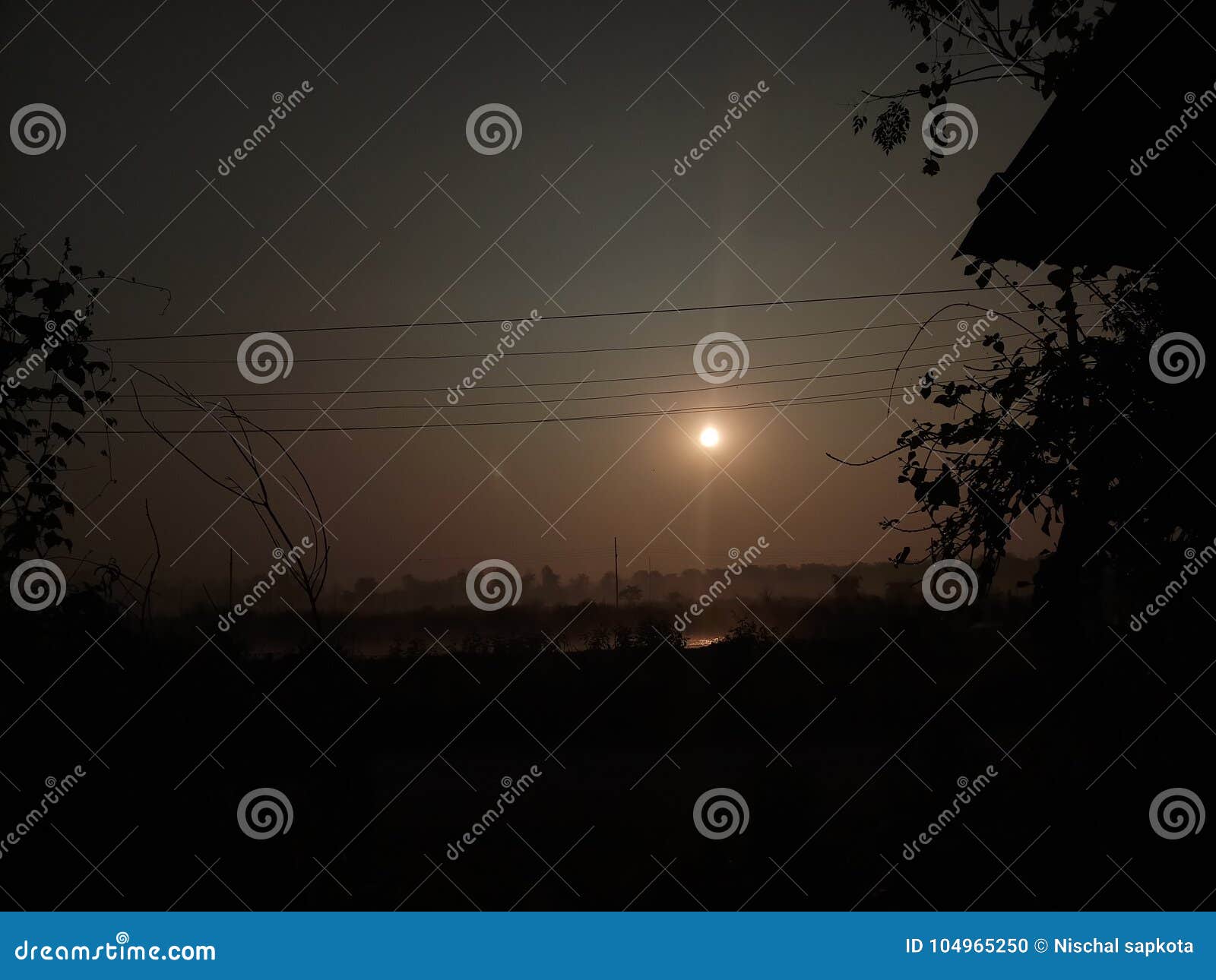 Sunset stock photo. Image of greenary, sunset, chitwan - 104965250