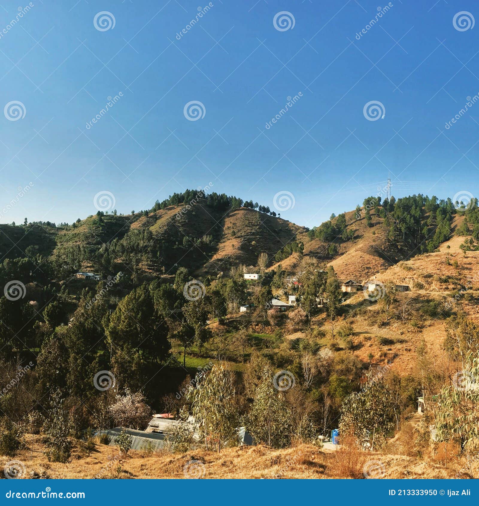 Dawn at a hilly forest stock photo. Image of small, hilly - 213333950