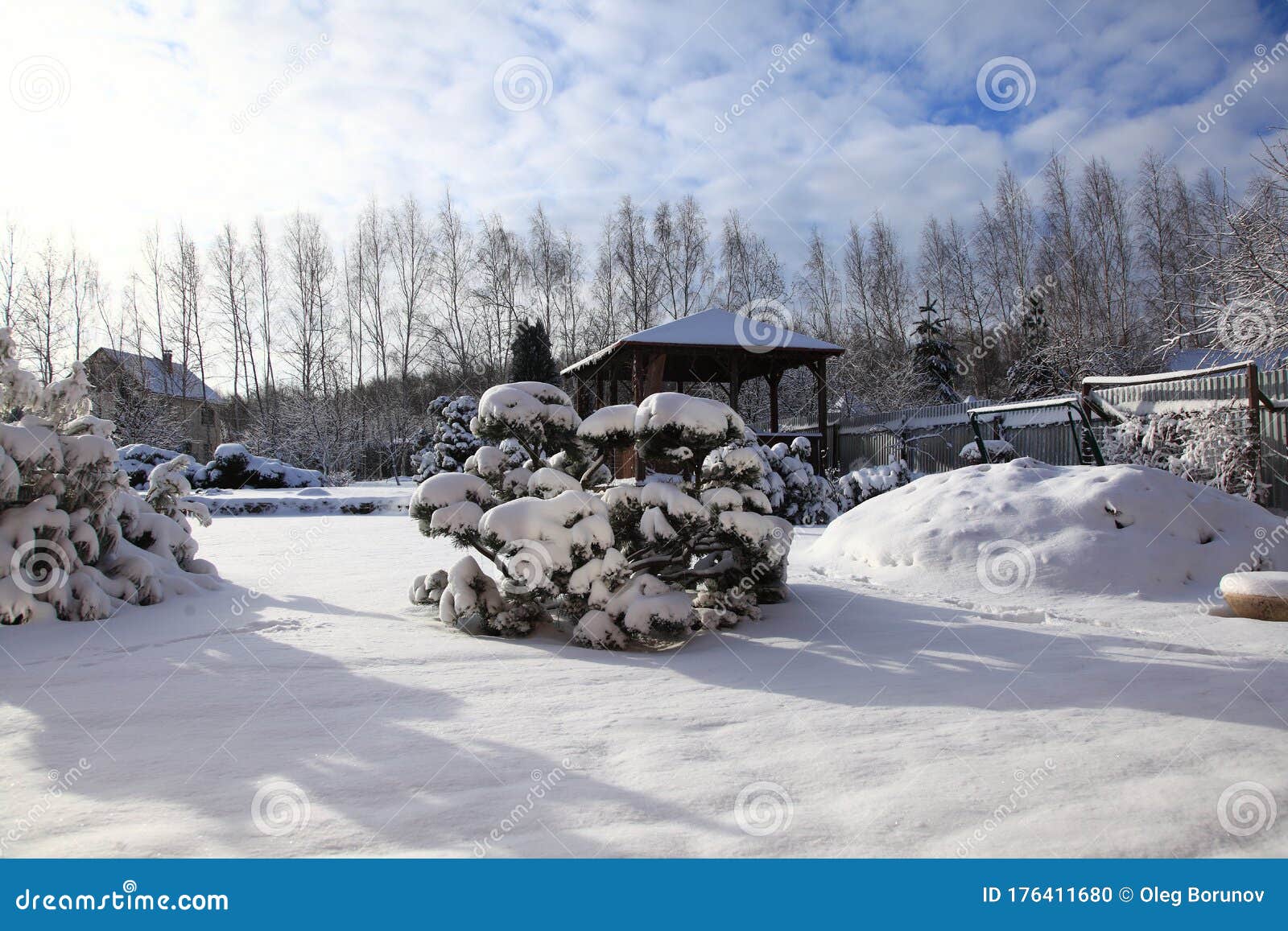 Dawn in the Home Garden.Selective Focus of Snowflake on Tree during ...
