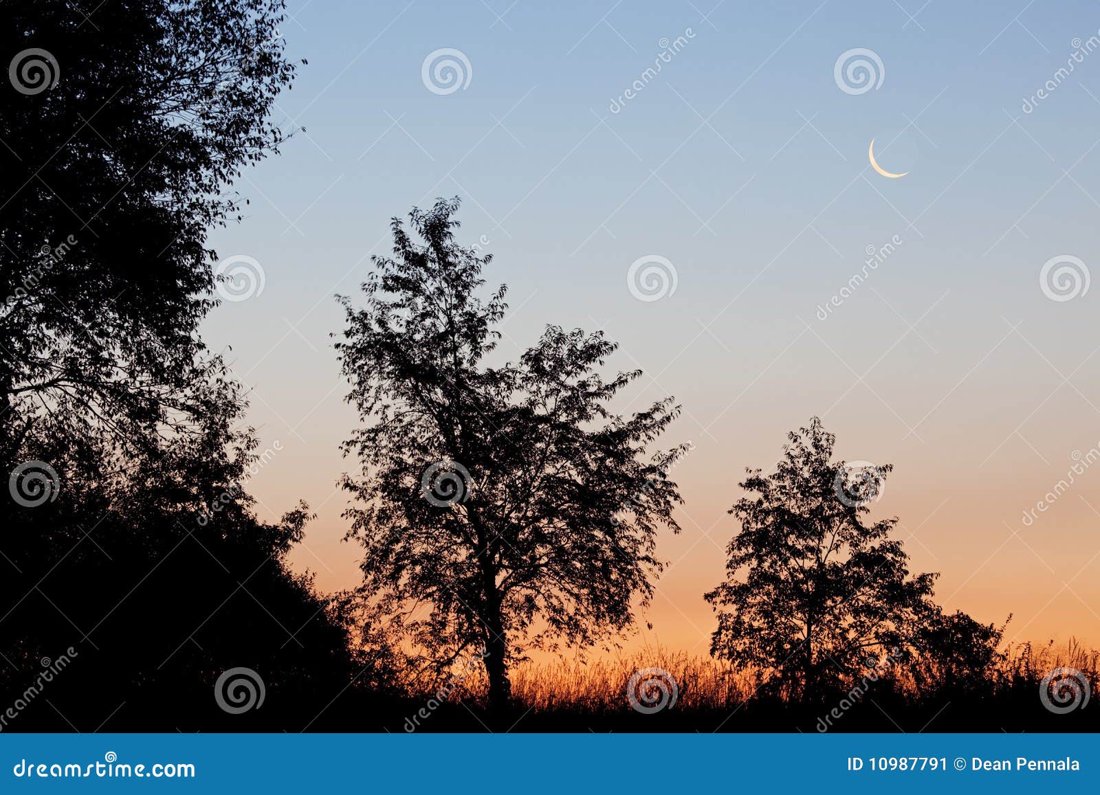 Dawn Landscape with Crescent Moon Stock Image - Image of serene ...