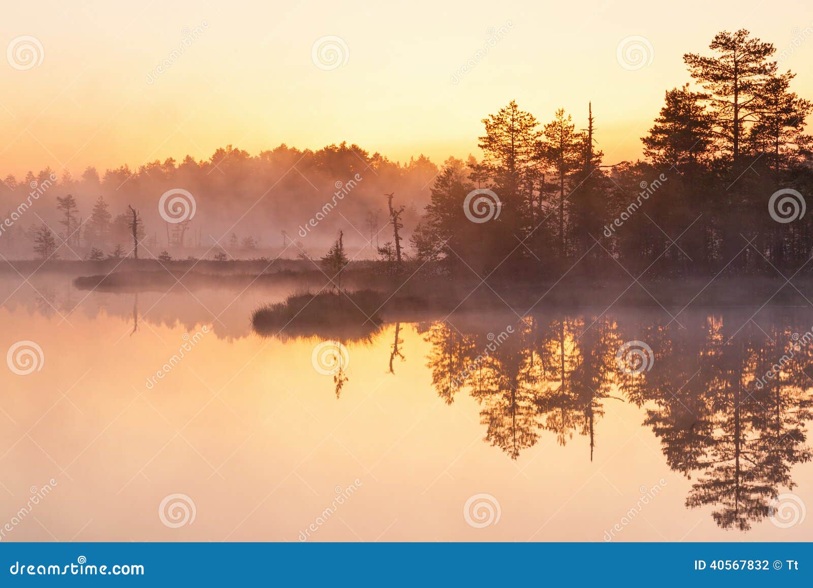 Dawn light at the lake stock photo. Image of scene, marsh - 40567832