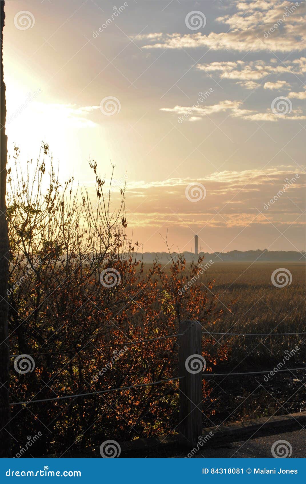 Dawn Light stock image. Image of golden, sunrise, dawn - 84318081