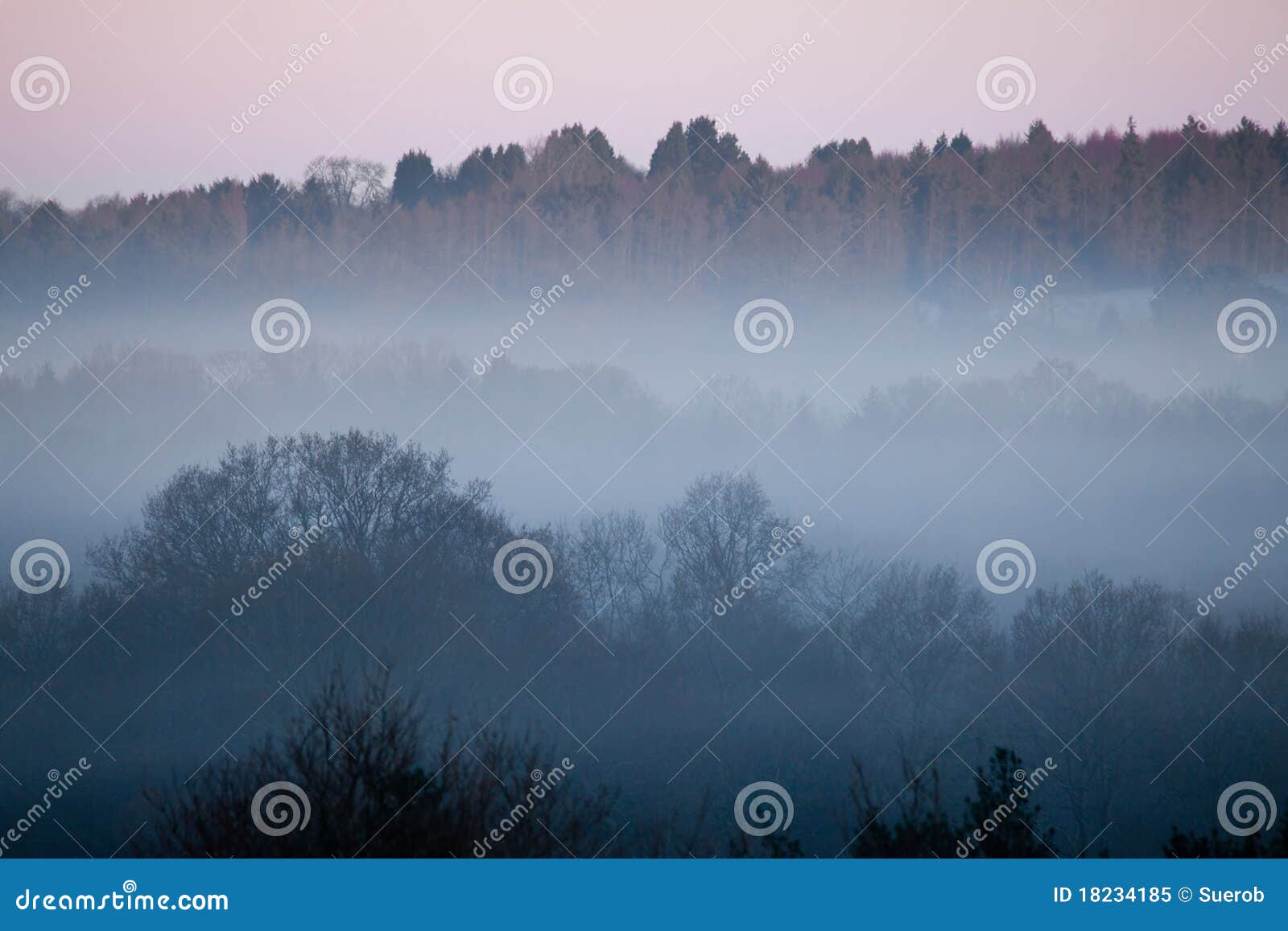 Dawn Mist stock image. Image of sunlight, belt, sunrise - 18234185