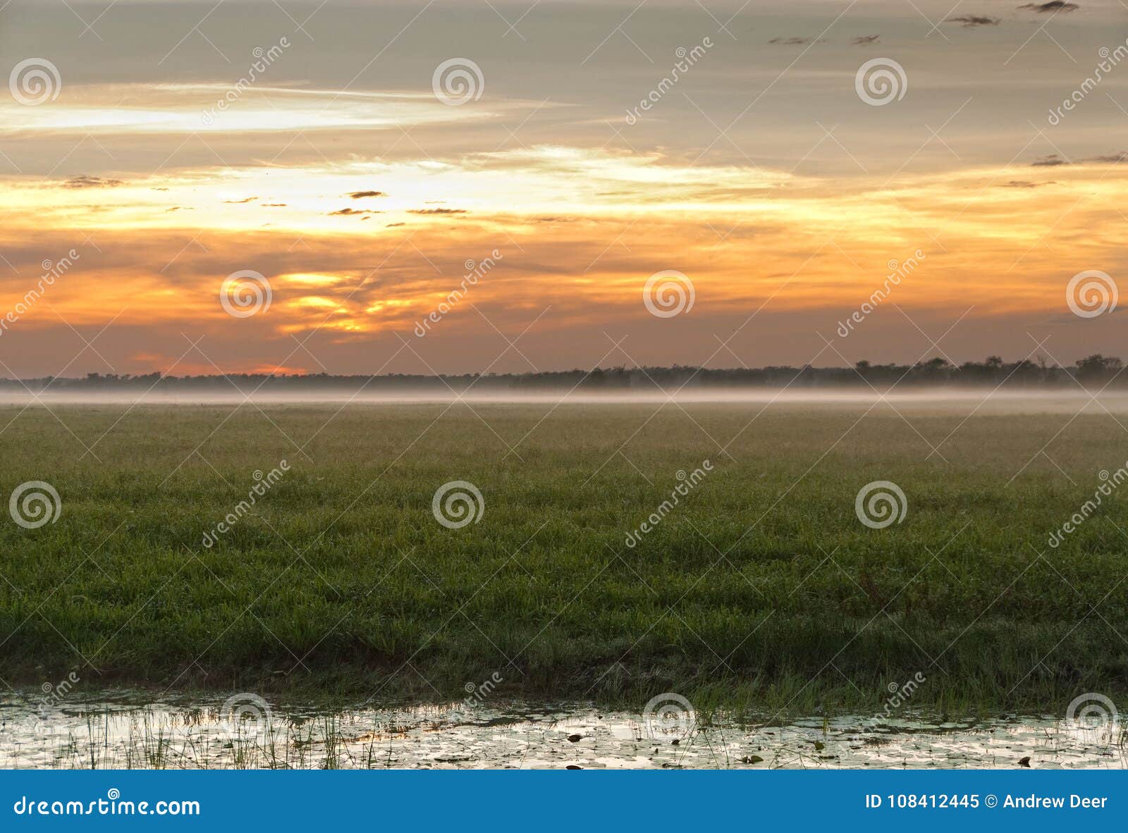 Dawn Mist in the Australian Outback Darwin, Northern Territory Stock ...