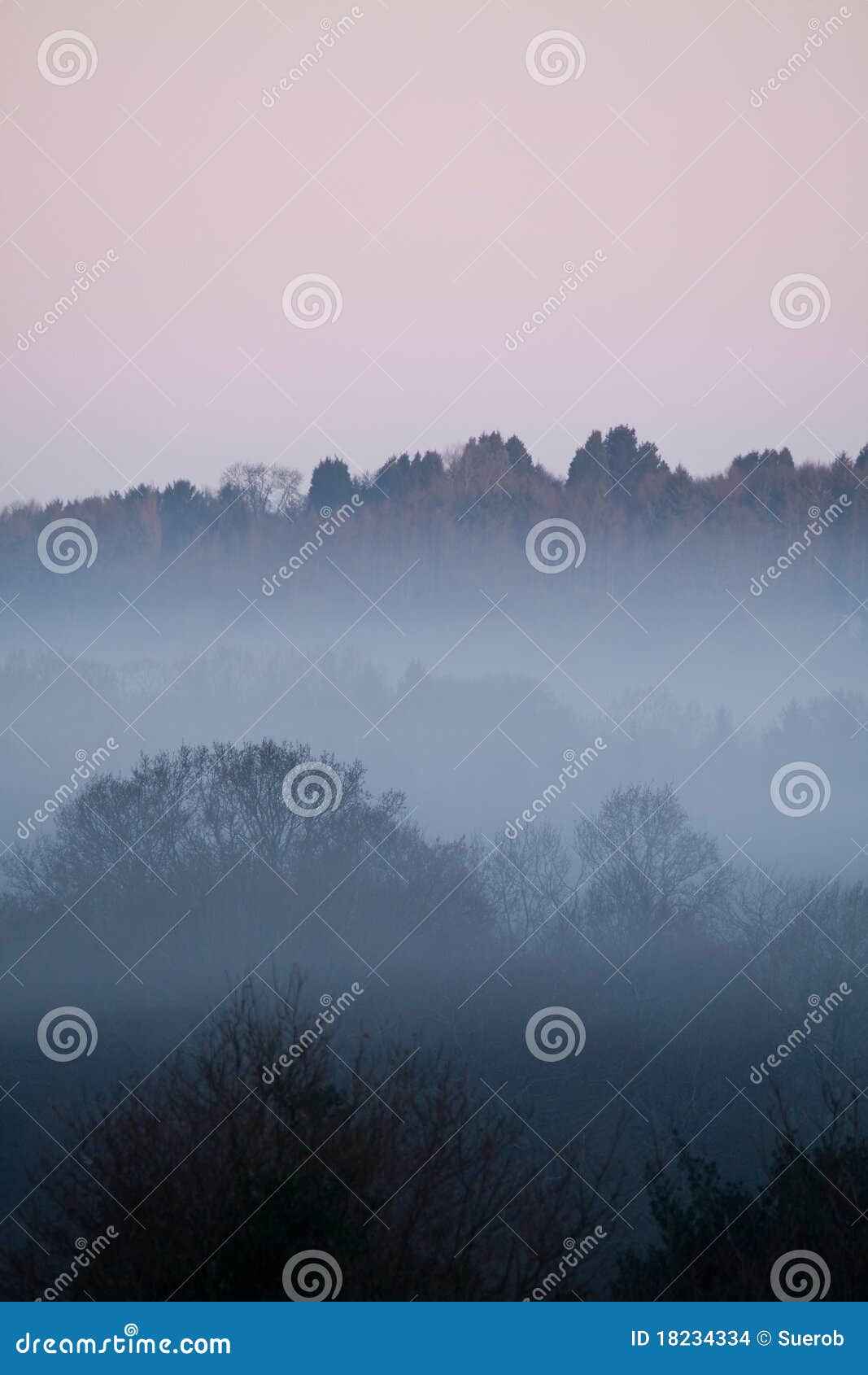 Dawn Mist portrait stock photo. Image of season, venus - 18234334