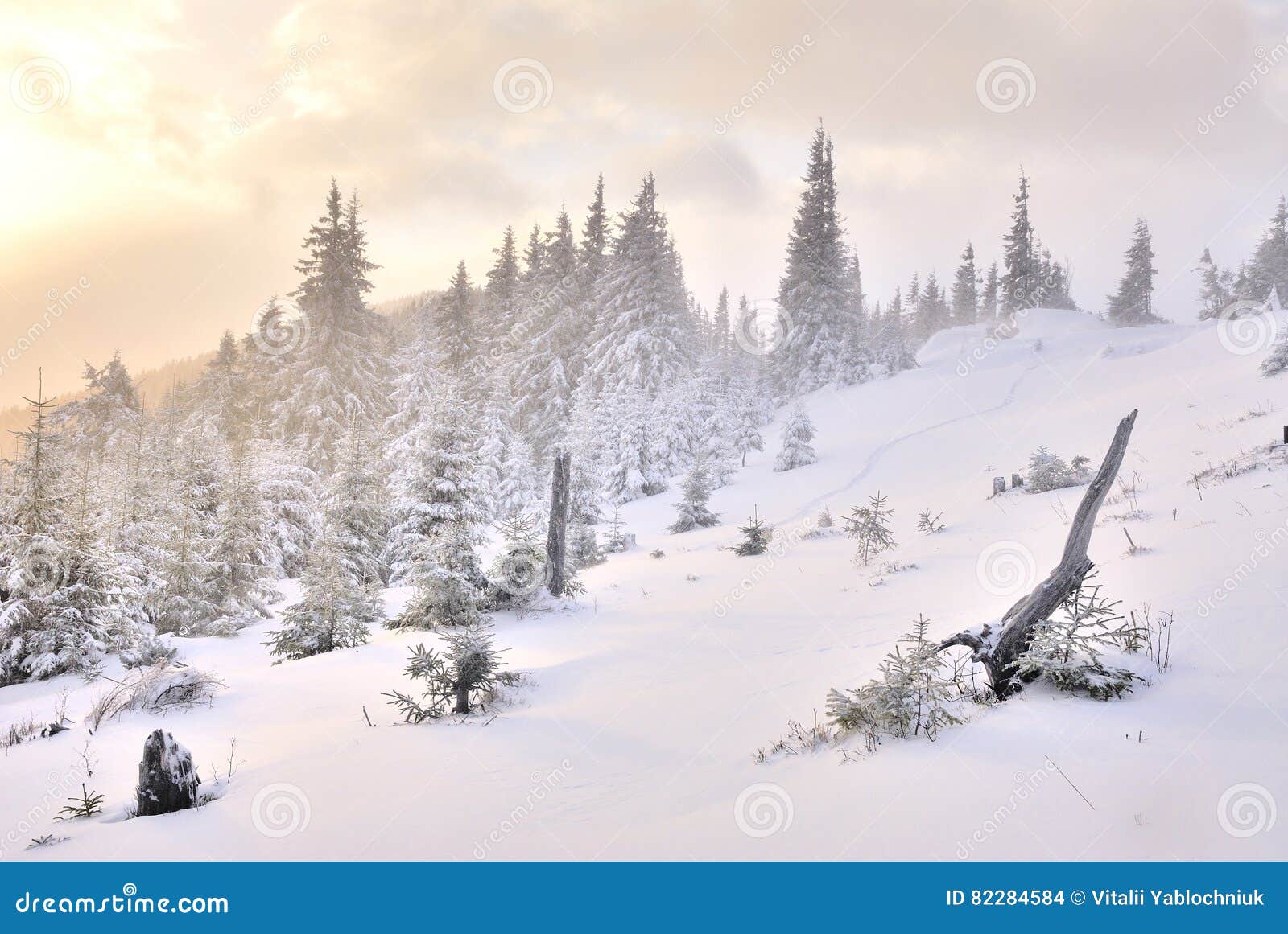 Dawn in mountain on snow stock photo. Image of hoarfrost - 82284584