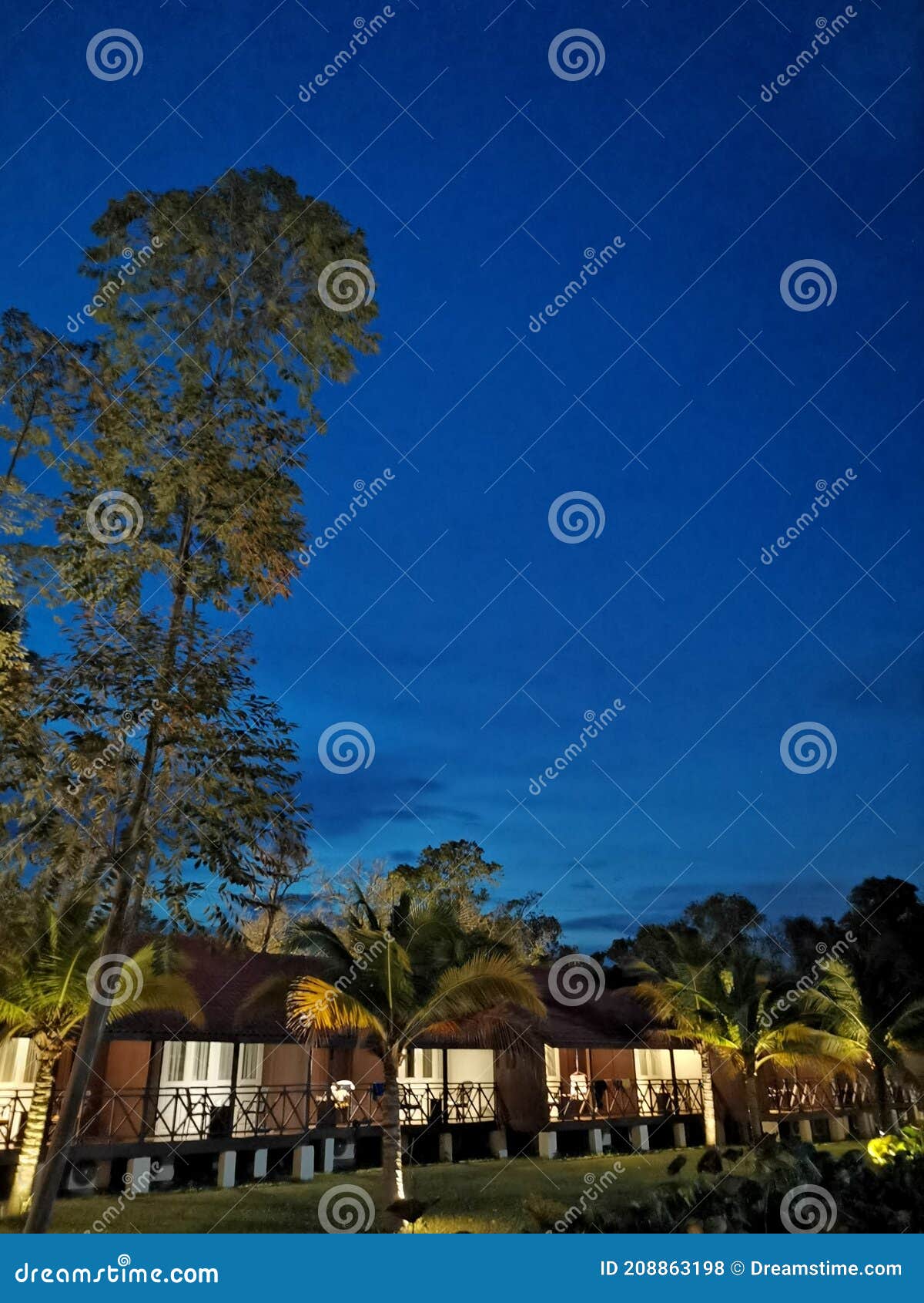 Dawn night with nice view stock photo. Image of nature - 208863198