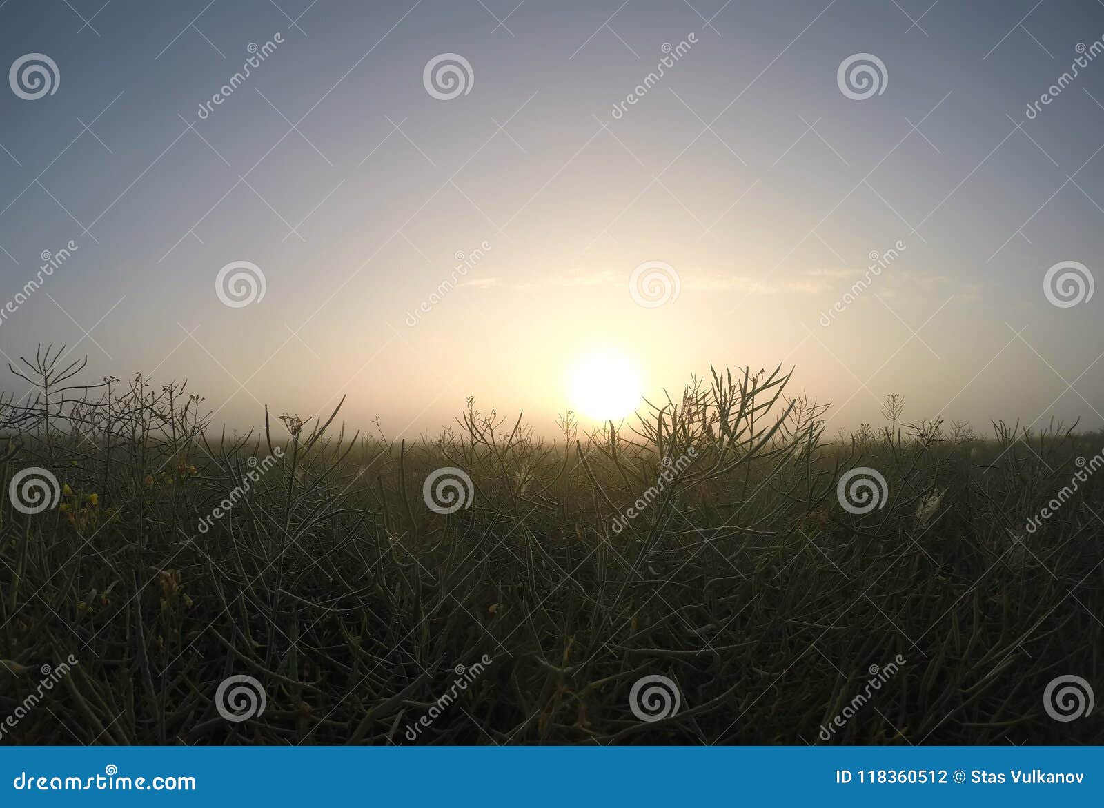 Dawn over the field stock photo. Image of horizontal - 118360512