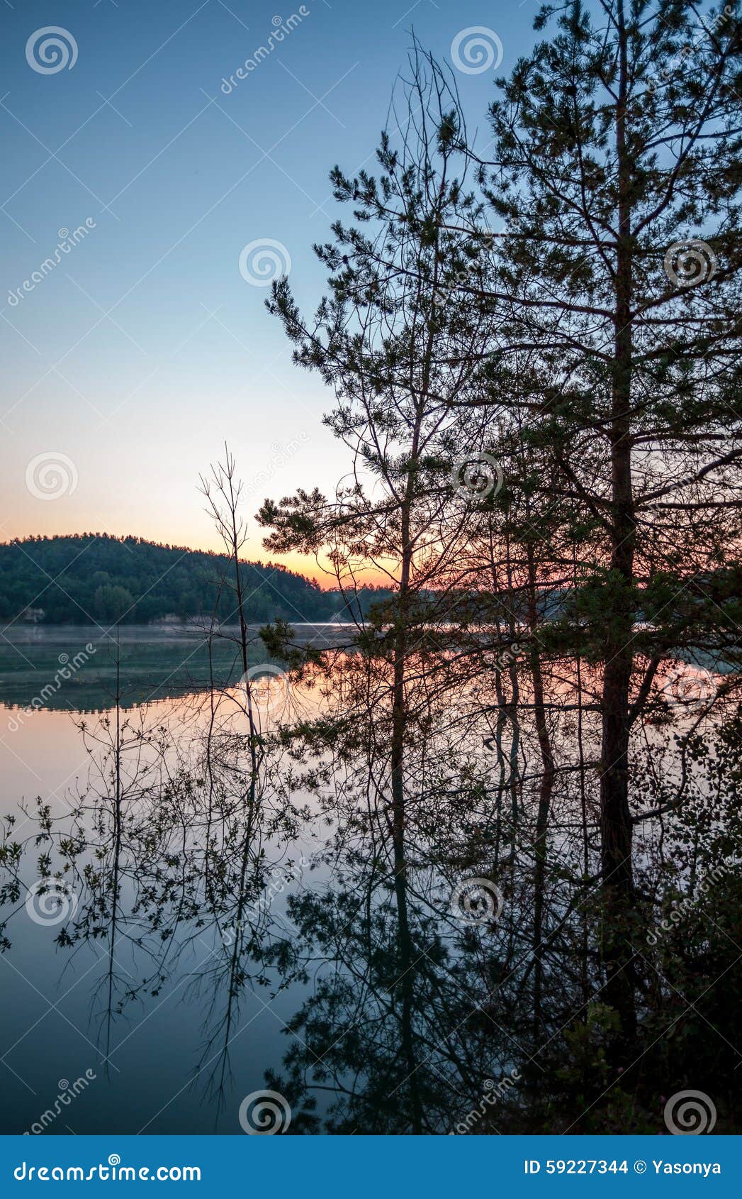 Dawn Over Lake with Silhouette Reflection Tree Stock Photo - Image of ...