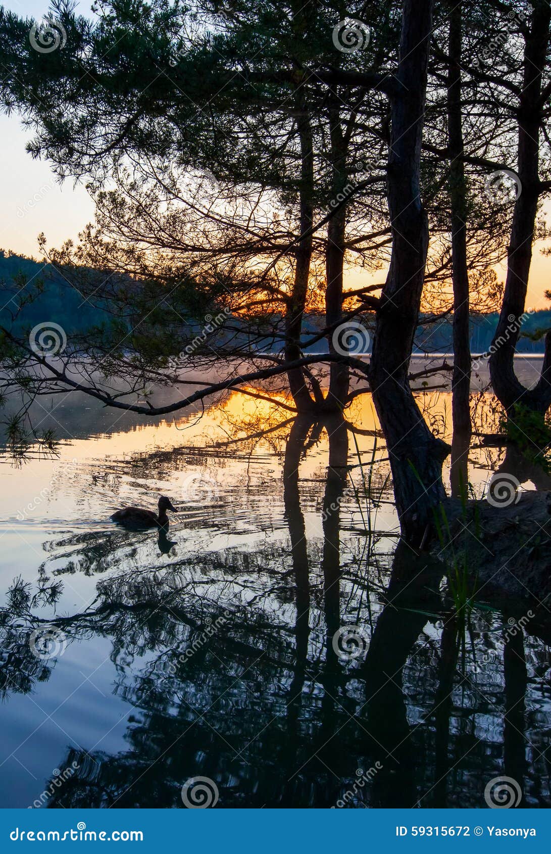 Silhouette And Reflection In Water Sunset Background. Stock Image ...