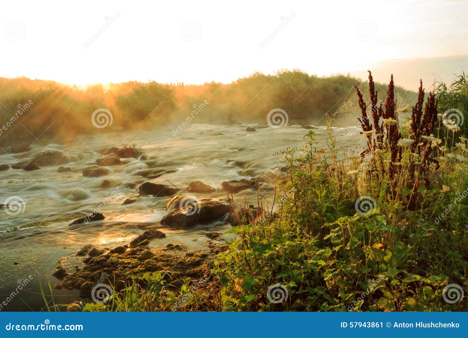 Dawn over Rushing river stock image. Image of river, rapid - 57943861