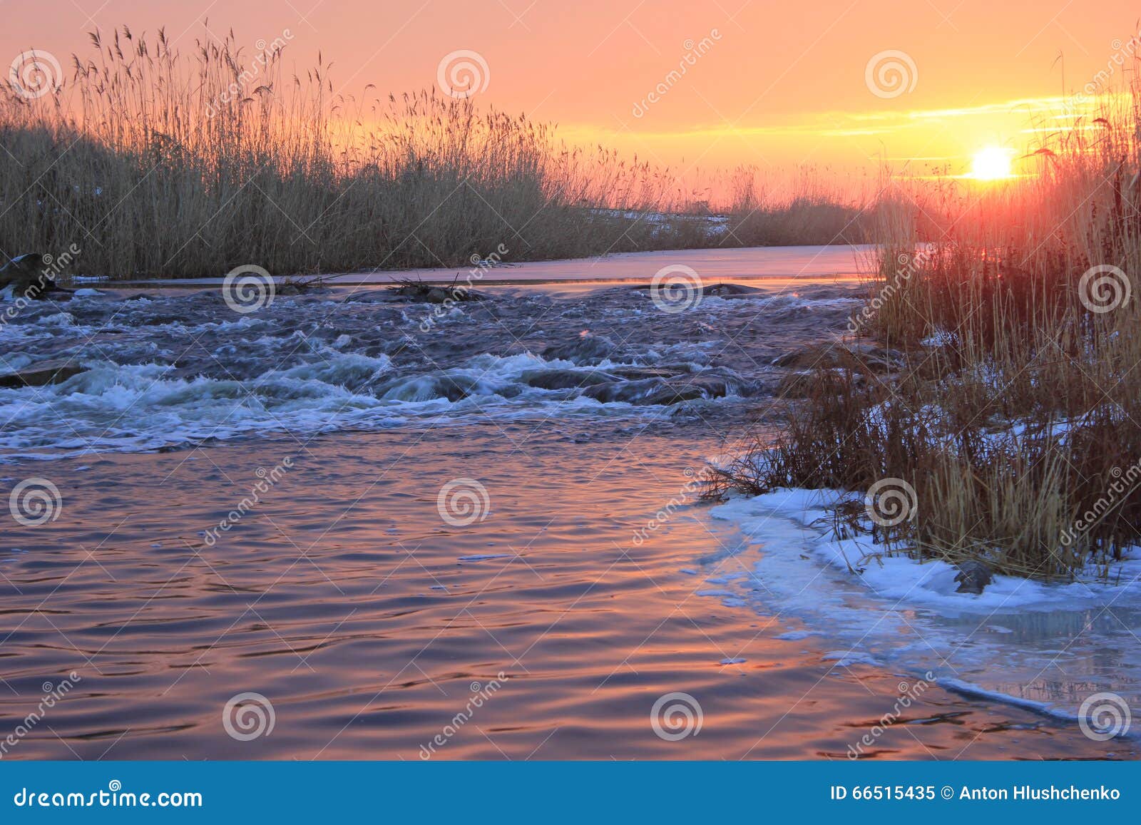 Dawn Over Rushing Winter River Stock Image - Image of fast, cane: 66515435