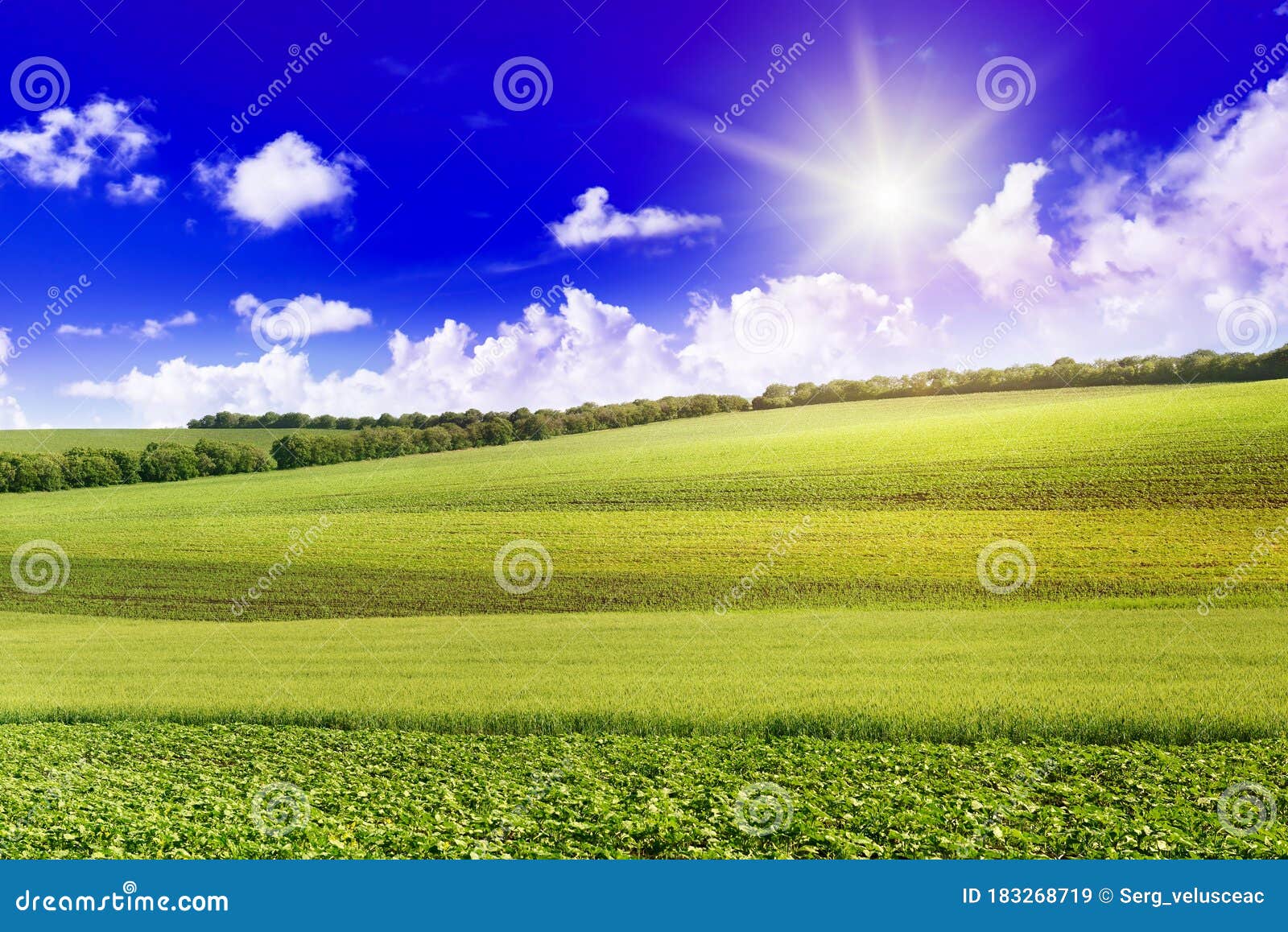 Dawn over the spring field stock image. Image of light - 183268719