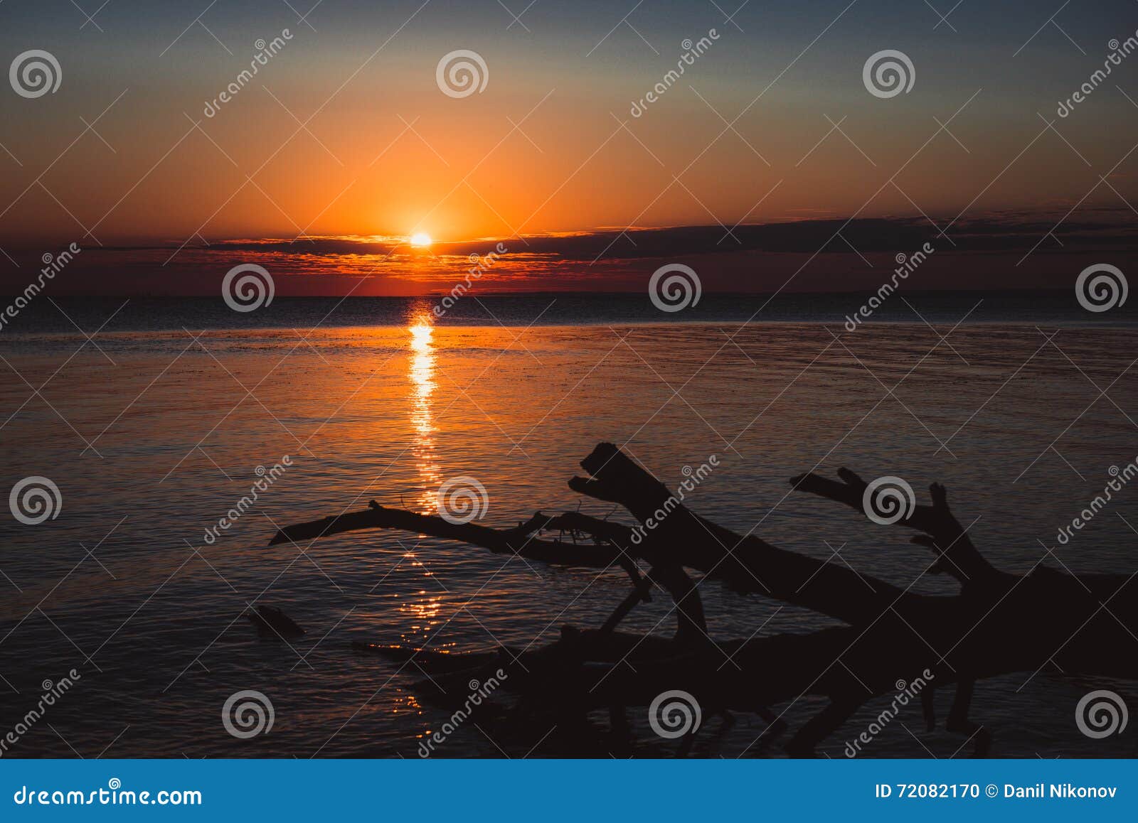 Dawn over the water stock photo. Image of lake, wood - 72082170