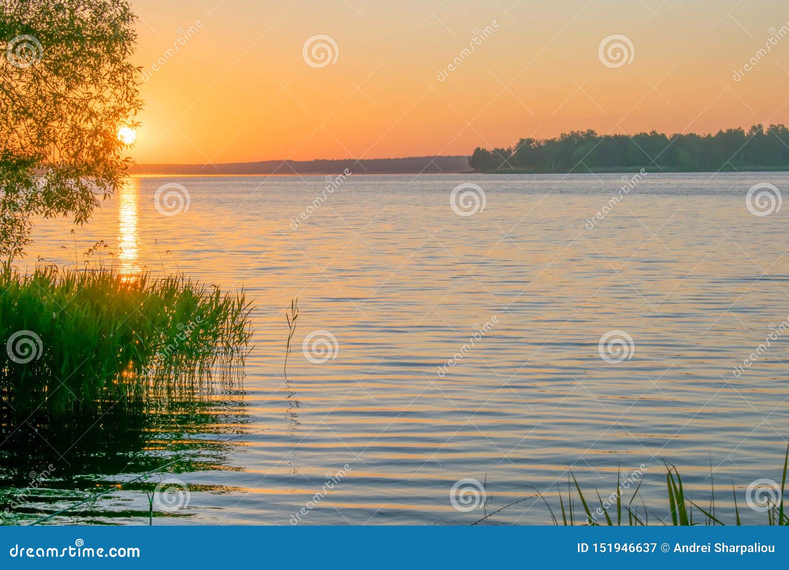 Dawn of the Red Sun on the River Stock Image - Image of river, autumn ...