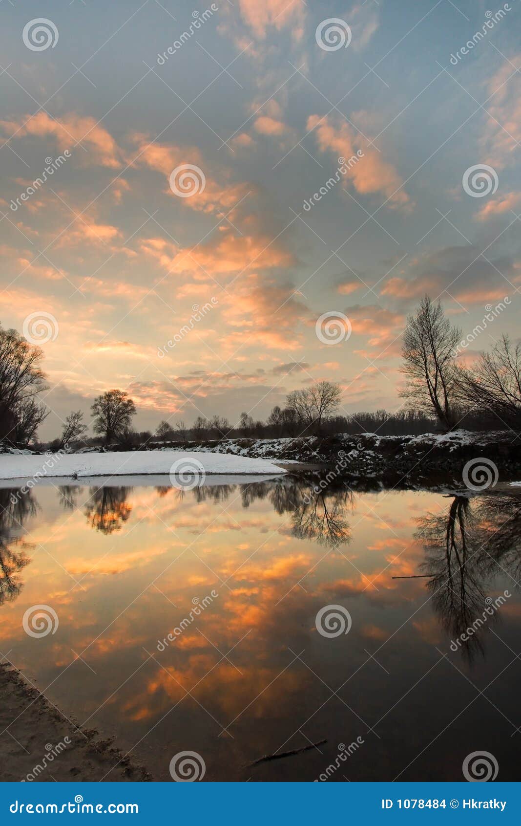 Dawn at the river stock photo. Image of trunk, landscape - 1078484