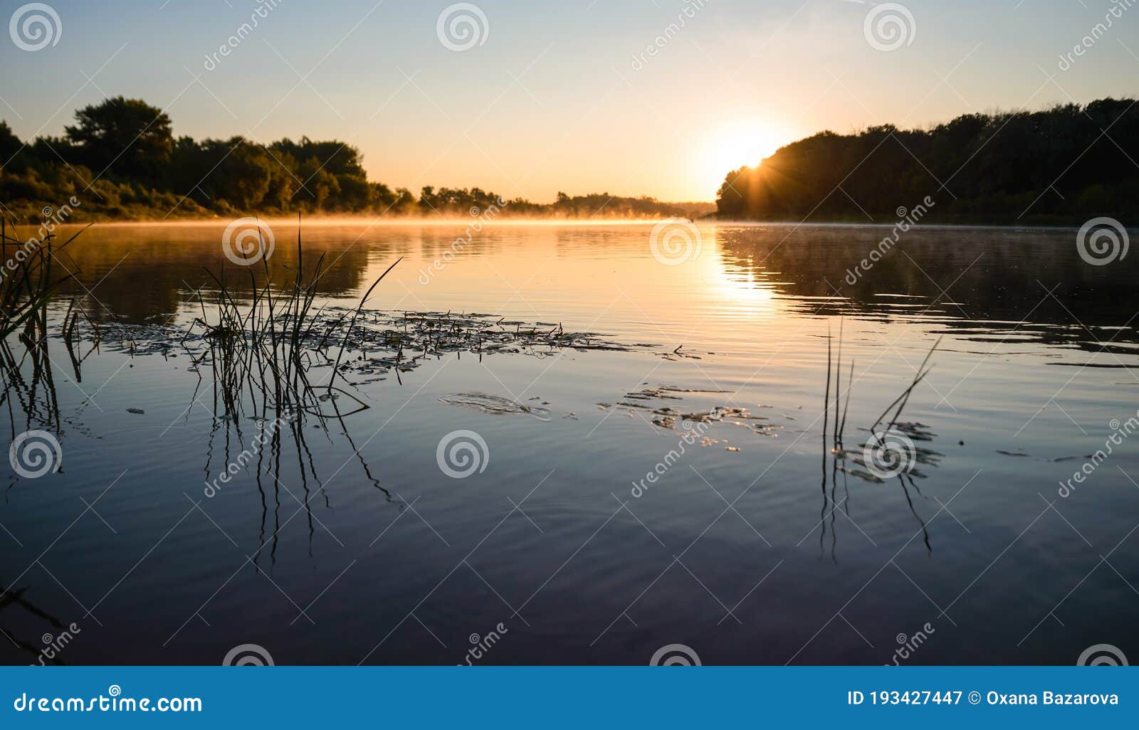 Dawn on the River, the Reflection of the Sun in the Water. Beautiful ...
