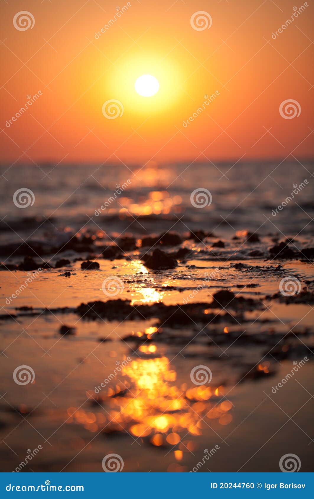 Dawn sea stock photo. Image of sunset, awakening, ocean - 20244760