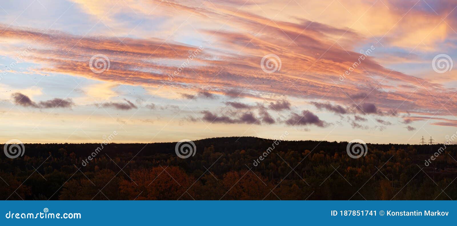Dawn sky over the forest stock image. Image of panoramic - 187851741