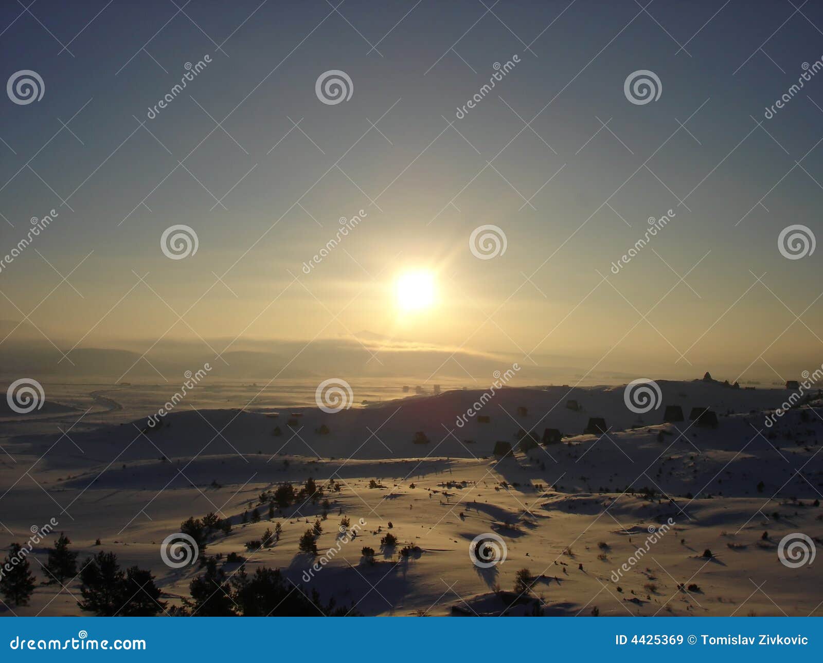 Dawn on snow stock image. Image of season, trees, snow - 4425369